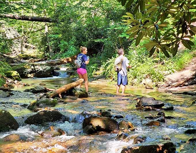 Dunnfield Creek offers a peaceful moment to contemplate whether you remembered to pack enough snacks for the journey ahead.