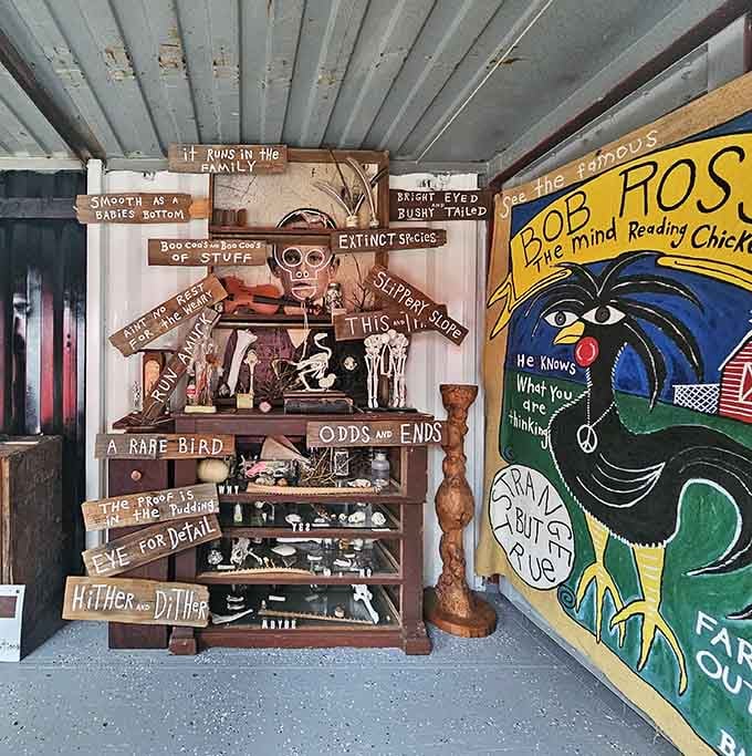 This cabinet of curiosities overflows with handmade signs and found treasures, each wooden plank telling its own quirky story.