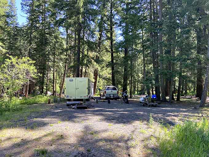 Little Naches Campground offers the kind of peaceful forest setting that makes you forget your phone exists.