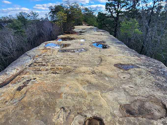 Walking atop the Natural Bridge reveals weathered sandstone that's been sculpting itself since your great-great-great-grandparents were just a twinkle.
