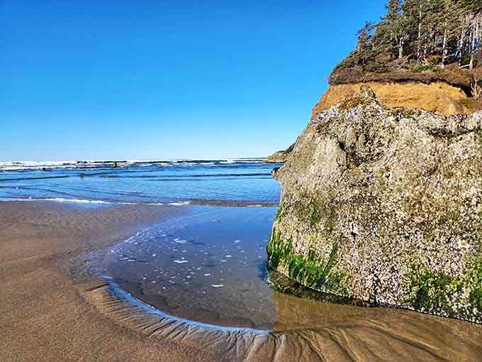 Proposal Rock stands guard over the beach, a natural monument that's witnessed countless sunsets and probably some awkward marriage proposals.