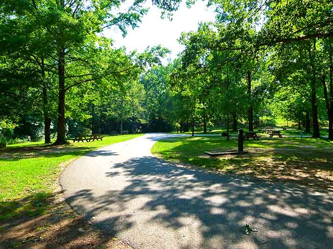 Harmonie State Park's tree-canopied paths invite leisurely strolls that would make even the busiest minds slow down and breathe.