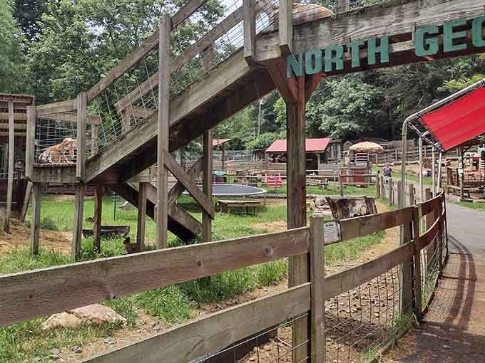 This welcoming gateway promises the kind of animal encounters that'll make your Instagram followers seriously jealous.
