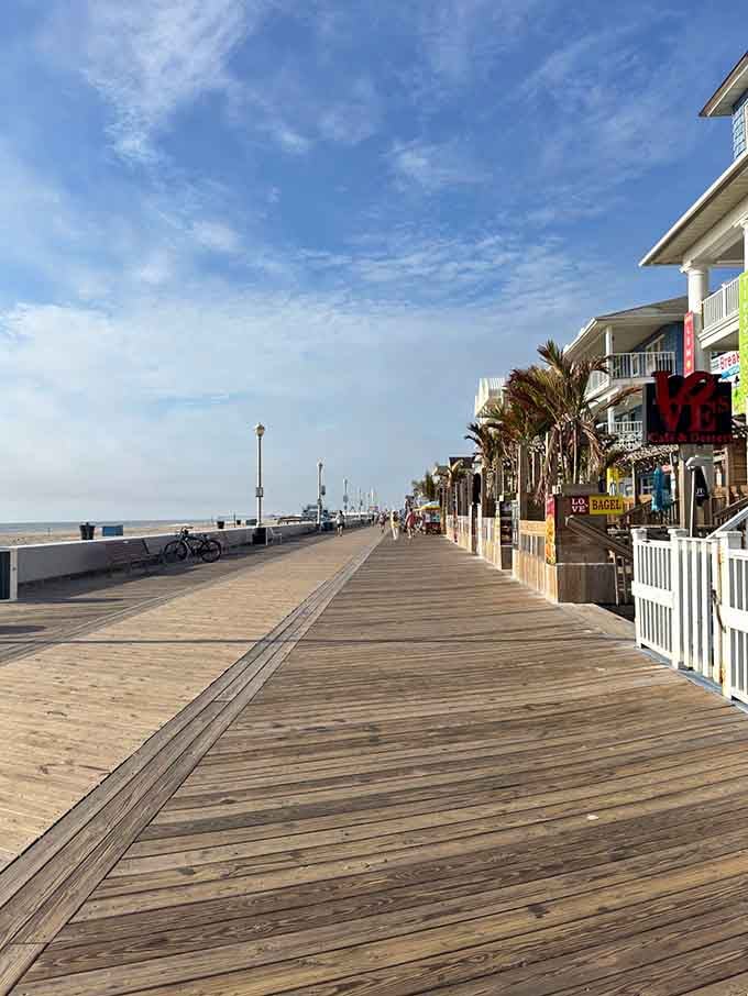 Palm trees on the Maryland coast prove that sometimes geography is just a state of mind.