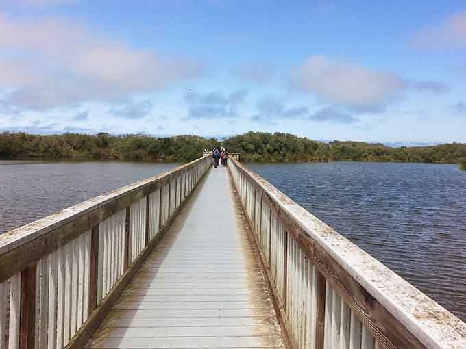 This wooden boardwalk leads to lagoon views that feel worlds away from the beach action.