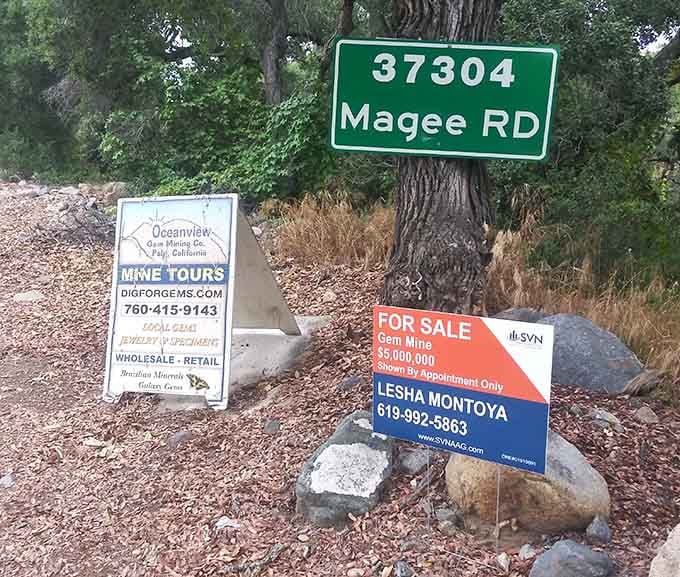 Finding this place on Magee Road feels like discovering the secret level in your favorite childhood video game.