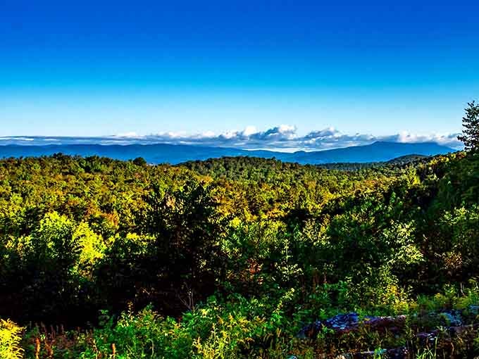 Views that stretch forever, reminding you why the Berkshires have been stealing hearts for generations.