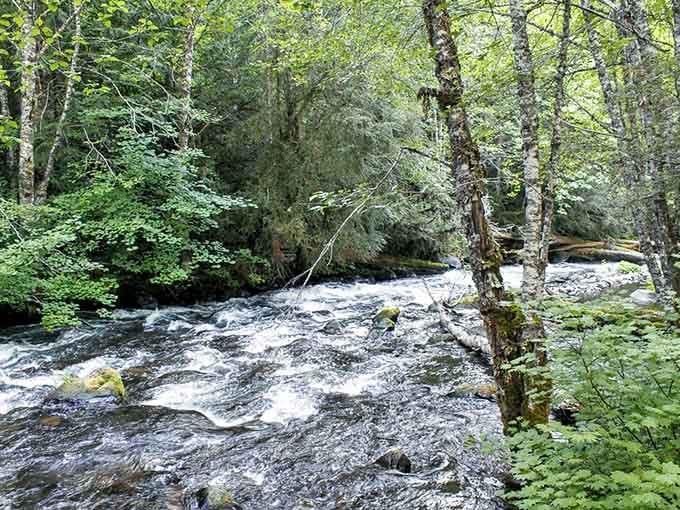 White water rushing through green forest, creating nature's own symphony without a single commercial break.