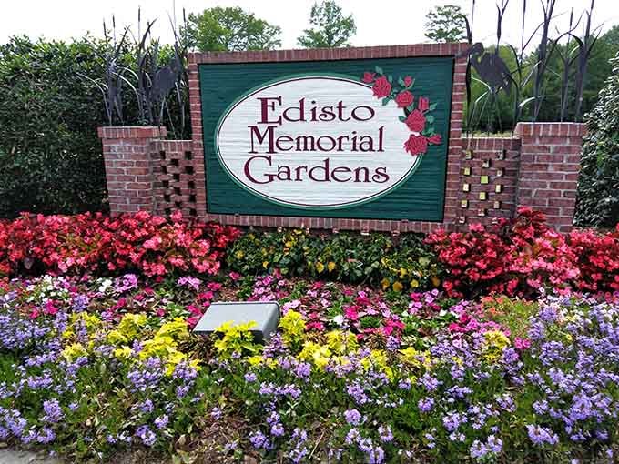 When flowers bloom this enthusiastically at Edisto Memorial Gardens, even your camera starts smiling back at you.
