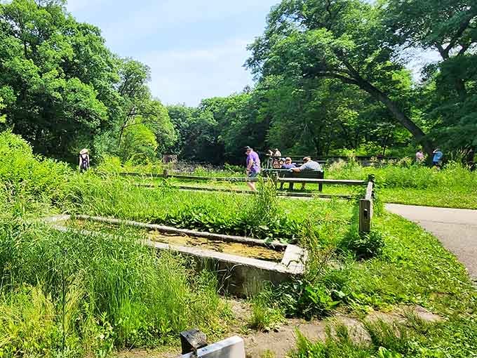Even on a summer day, this spot draws visitors who understand that paradise doesn't require a passport.