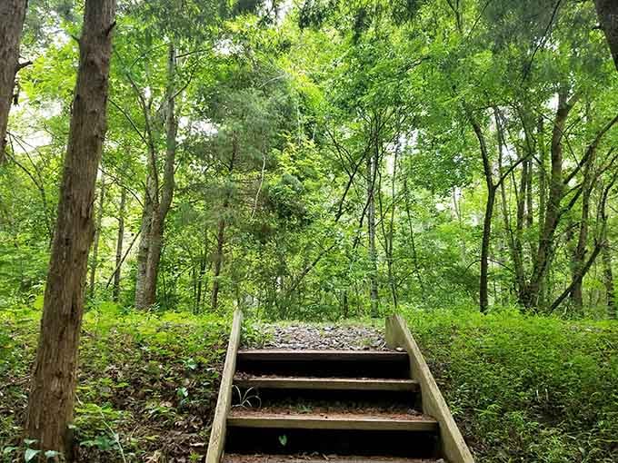 These wooden steps lead up to adventure, because the best views always require a little effort first.