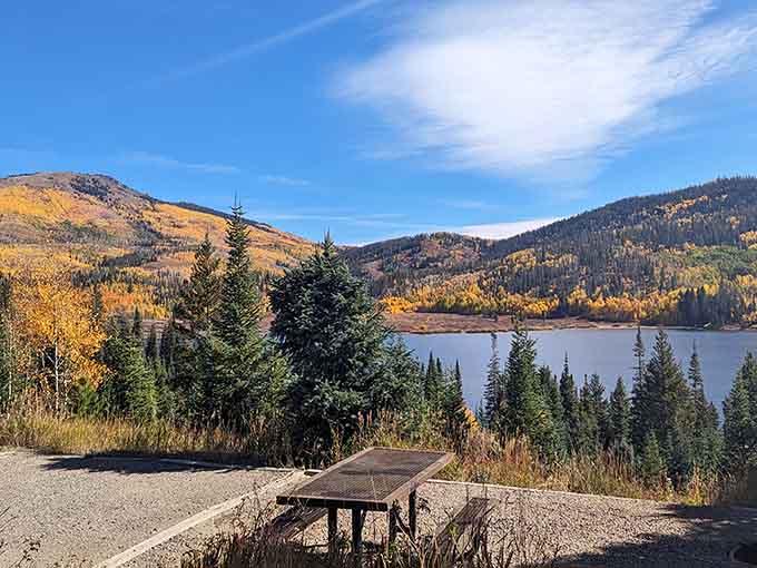 Pull up a picnic table, crack open your lunch, and enjoy views that make your living room seem tragically inadequate.