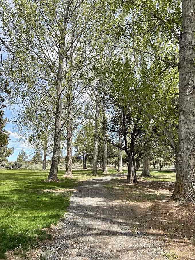 Shaded pathways at the viewpoint offer a peaceful stroll before you reach the edge and gasp.