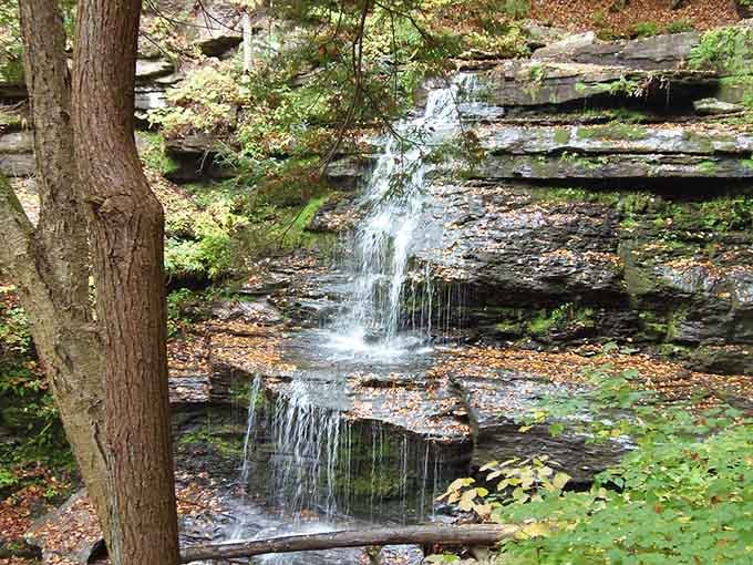 These delicate cascades prove that Pennsylvania's natural beauty doesn't always need to shout to get your attention.