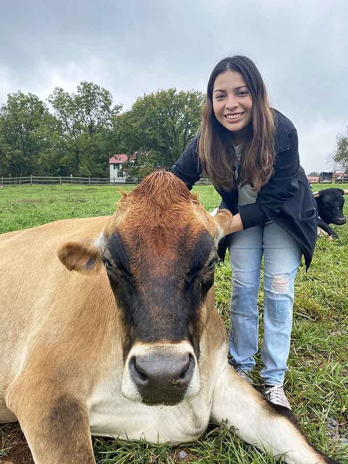 Nothing beats a sunny afternoon spent lounging with a rescued cow who's finally found peace and safety.