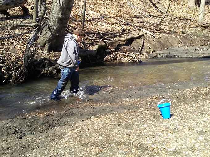 One person's muddy creek is another person's treasure trove of ancient marine life from the Cretaceous Period.