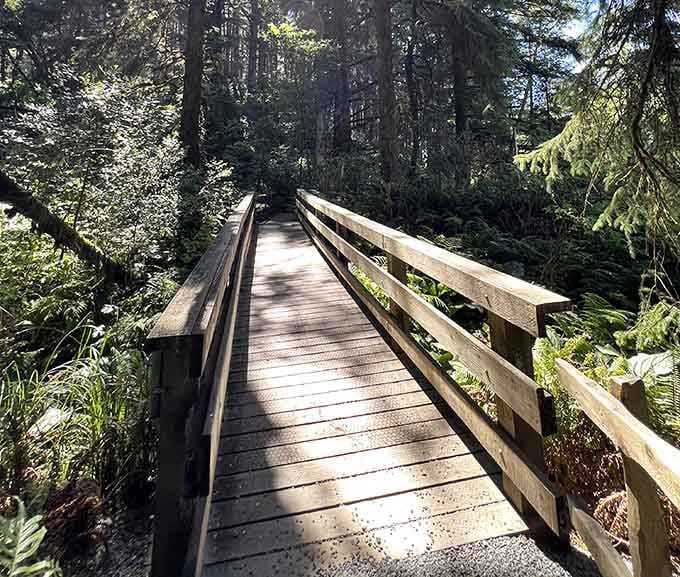 This boardwalk leads deeper into the forest where ancient meets adorable in the best possible way.