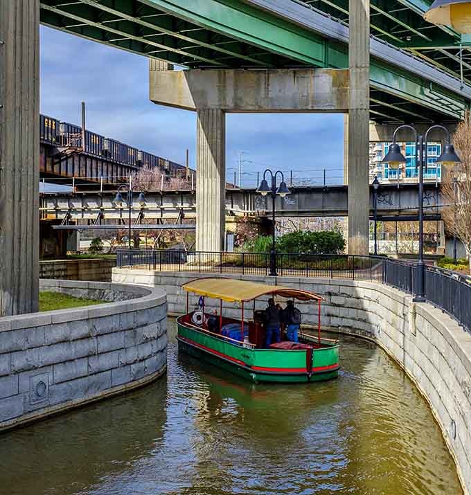Passing beneath the interstate feels like discovering a secret passage, urban infrastructure transformed into an unexpected architectural frame.
