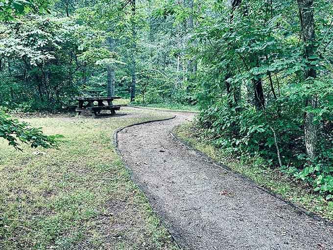 Enjoy a peaceful break along the Roaring Run Loop Trail, where a gravel path leads to a relaxing picnic spot surrounded by lush greens.