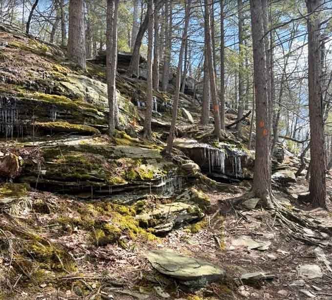 Those moss-covered rocks and trickling water create the kind of natural soundtrack that beats any meditation app.