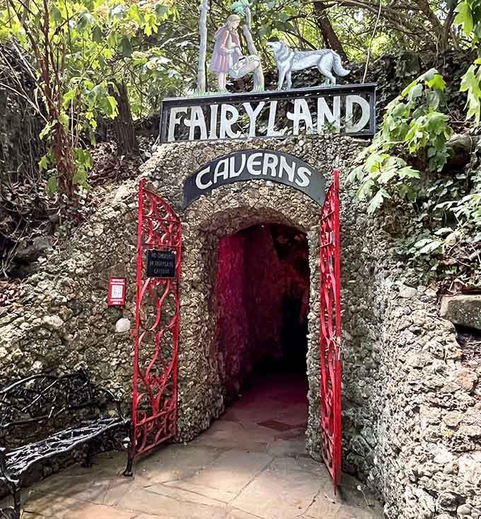 Behind those red gates lies a whimsical world where fairy tales get the black light treatment they deserve.