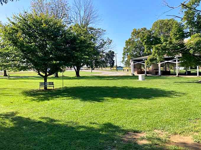 Green space where locals gather, proving that the best parks don't need fancy equipment to feel welcoming.