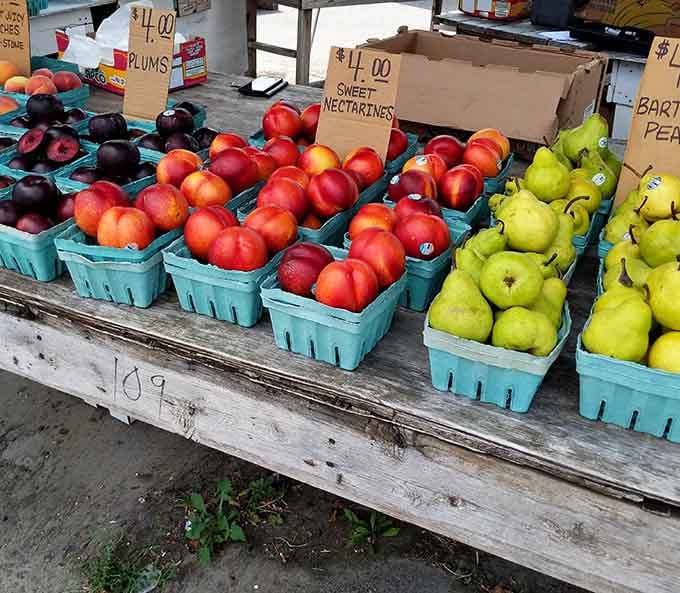Fruit so fresh it practically jumped from the tree this morning, arranged in baskets like nature's candy store.