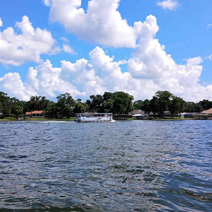 Lake Dora spreads before you like liquid glass, reflecting clouds that have better things to do.