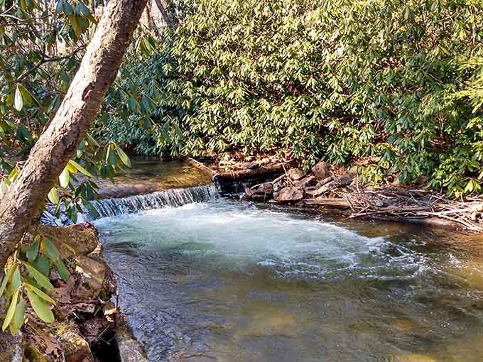 This gentle cascade proves that waterfalls don't need drama to be absolutely mesmerizing and photo-worthy.