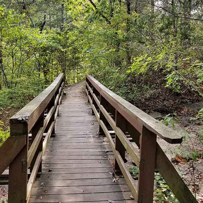Every good adventure story needs a bridge, and this one leads somewhere worth going.
