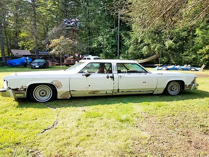 A classic Lincoln that's seen better days but still commands respect in this automotive graveyard-turned-gallery.