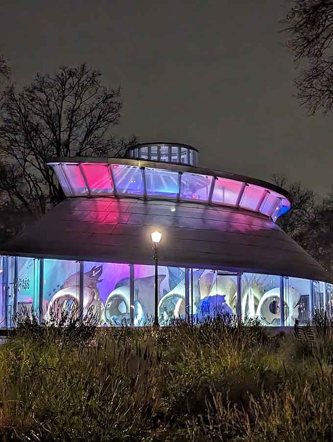 At night, this nautilus-shaped wonder glows like a spaceship that landed in Manhattan and decided to stay.