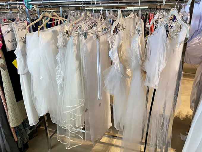Wedding gowns waiting patiently for their next bride, proving fairy tales don't require fairy tale budgets after all.