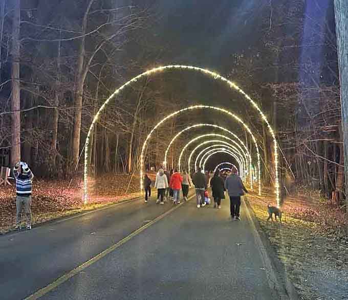 When the whole family can enjoy the lights on foot, you know someone's doing something right here.