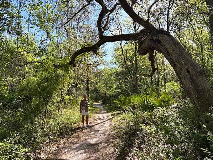 That perfectly arched tree creates a natural gateway that even Disney's Imagineers would envy.