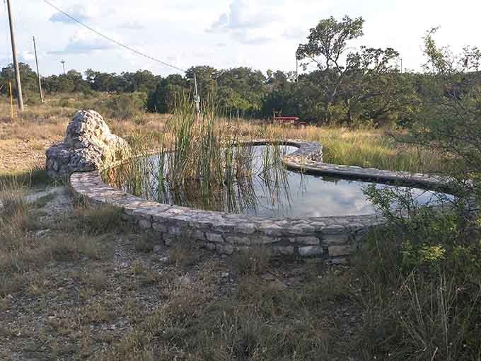 Nature's own water feature at Eaton Hill, proving West Texas knows how to create peaceful outdoor spaces.