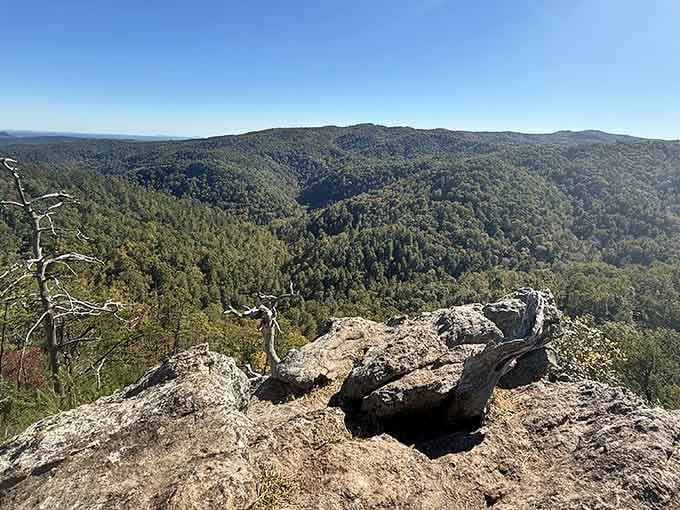 These mountain views stretch for miles, proving that the best things in life are absolutely free.