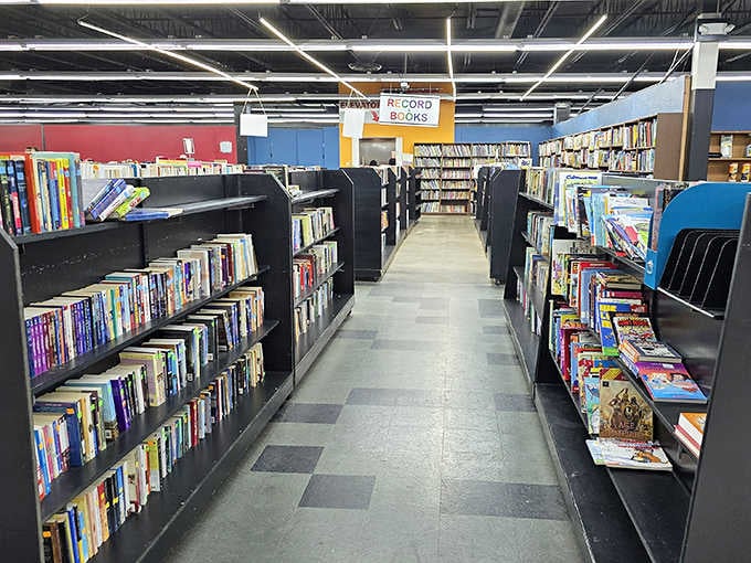 Books lined up like old friends waiting to tell their stories again, now with you as their next chapter.