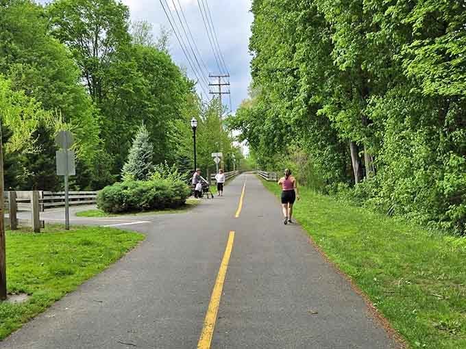 Spring greenery so lush it makes you wonder if someone's been secretly watering the entire forest overnight.