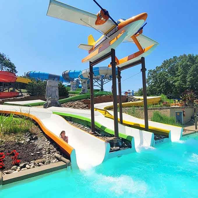 Cowabunga Airways proves that what goes up must come down, preferably at speeds that make you reconsider everything.