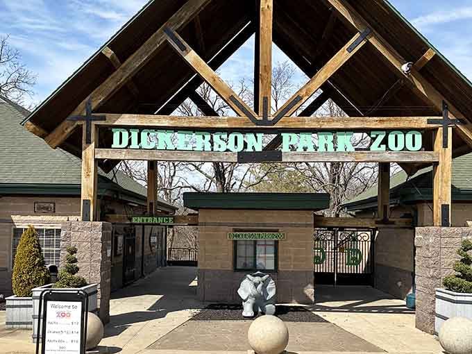 Dickerson Park Zoo proves that some of life's greatest adventures cost less than a tank of gas.
