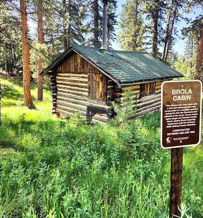 The Brola Cabin sits nestled in summer grass, looking exactly like where Laura Ingalls Wilder would vacation if she could.