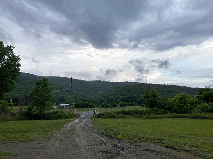 The rolling hills of Jackson County hide countless secrets, and this particular hole in the ground is spectacularly worth finding.