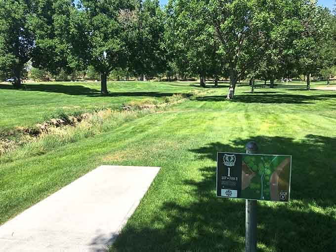 Pioneer Park's disc golf course: where recreation meets affordability, and nobody's checking your country club membership.