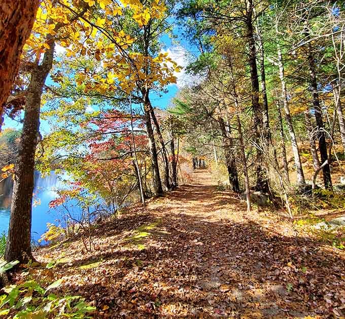 Leaf-strewn trails through autumn woods prove that the best therapy doesn't require a couch or copay.