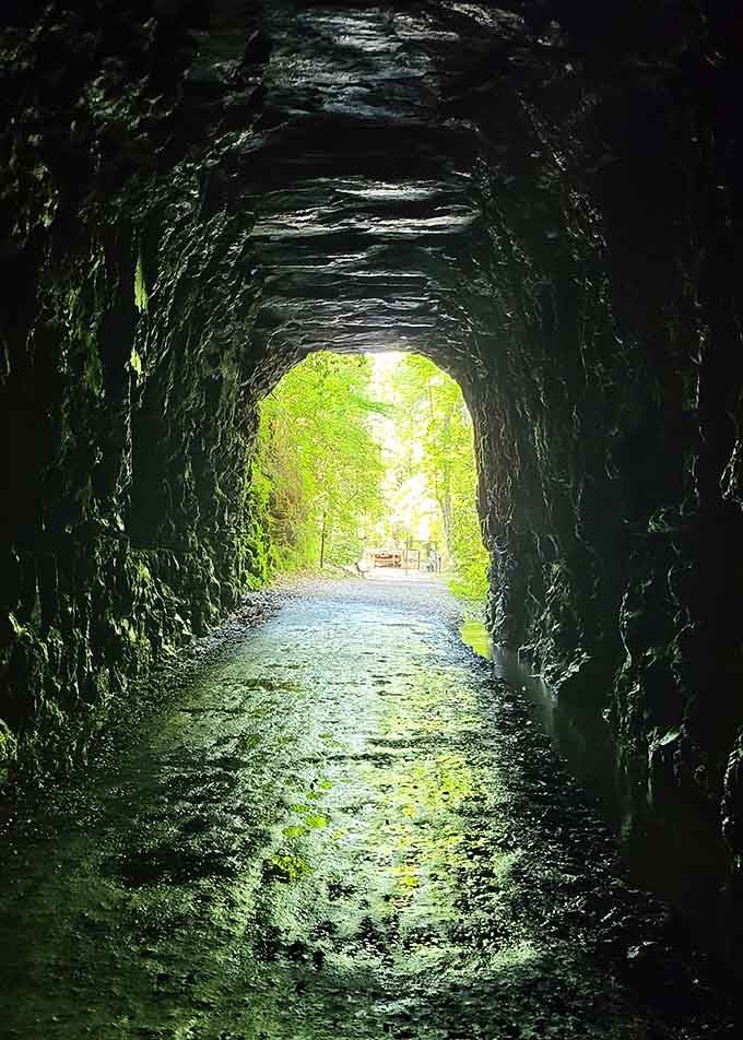 Looking back toward daylight from inside feels like peering through a portal between past and present, darkness and hope.