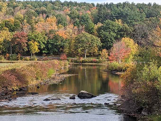 Autumn transforms the waterway into a painter's palette that would make Bob Ross weep with joy.