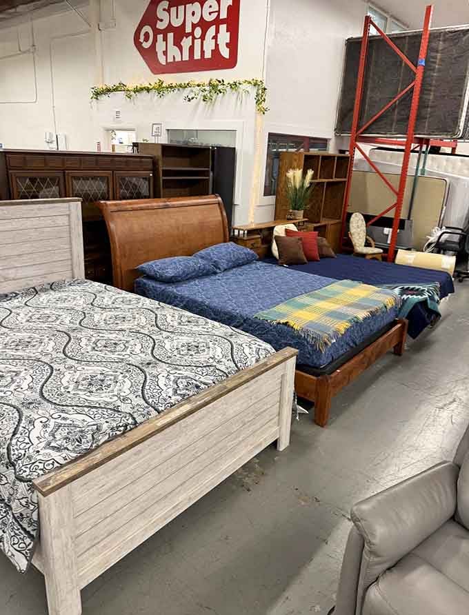 Bed frames that could anchor your bedroom for decades, not just seasons, at prices that defy logic.