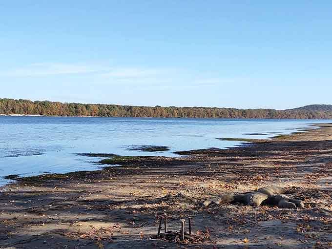 The kind of peaceful shoreline that makes you wonder why you ever needed an ocean.