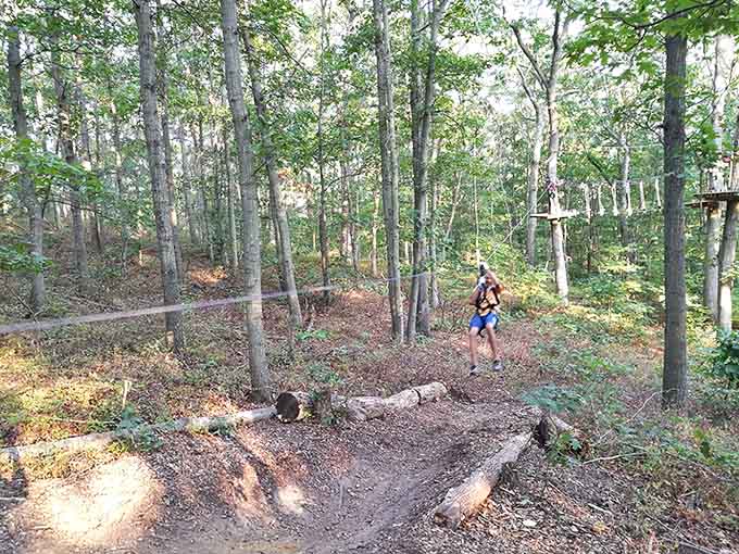 Nothing says "I'm still young" quite like voluntarily launching yourself through a forest on a cable.